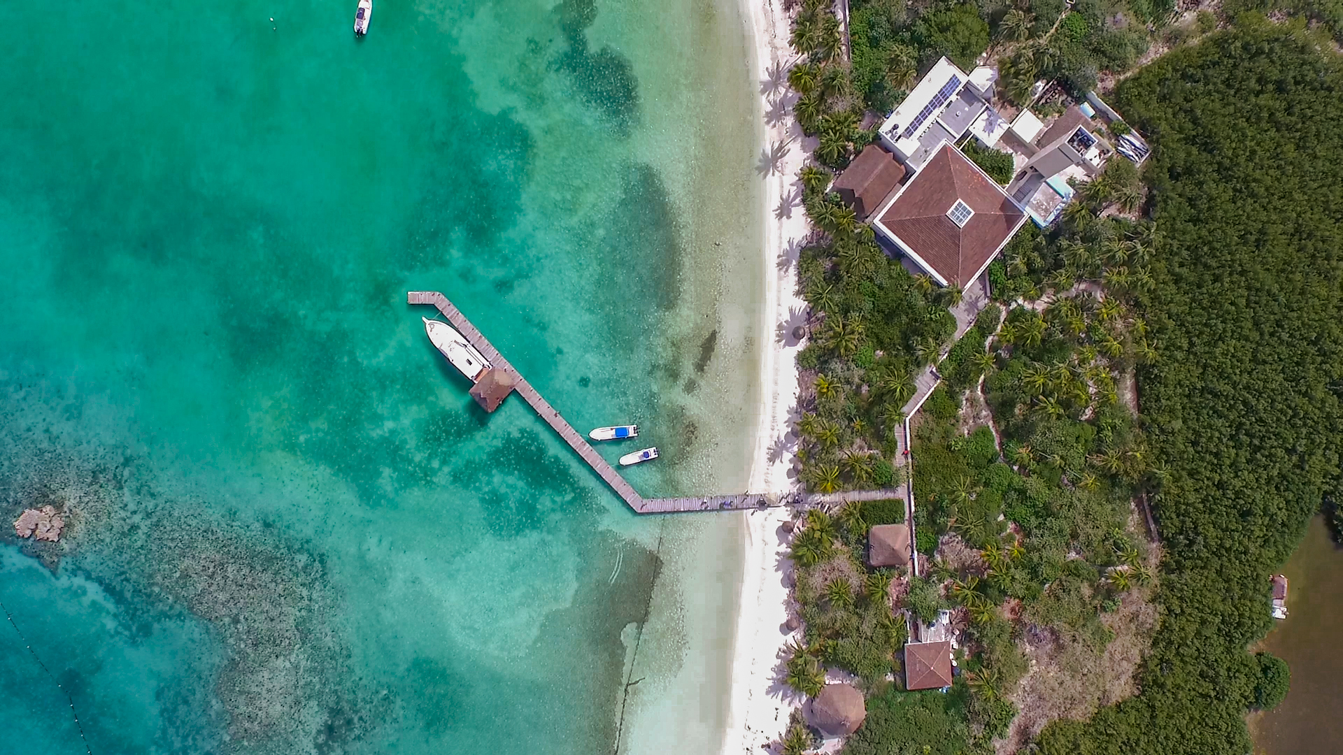 Isla Contoy Tour | El Mejor Tour a Isla Contoy e Isla Mujeres desde ...