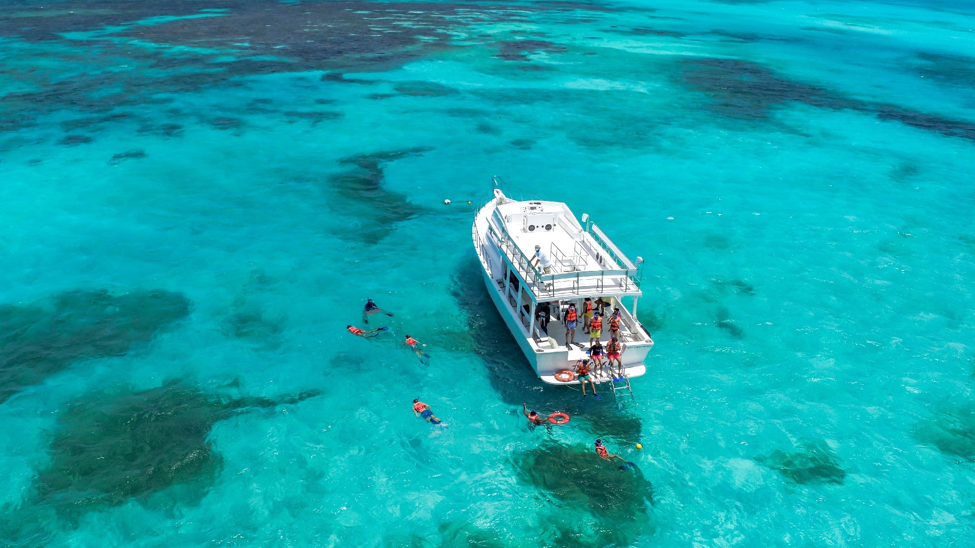 Isla Contoy Tour | El Mejor Tour a Isla Contoy e Isla Mujeres desde ...