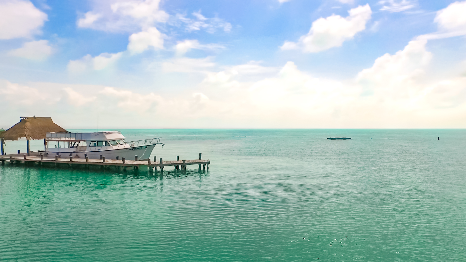 Isla Contoy Tour | El Mejor Tour a Isla Contoy e Isla Mujeres desde ...