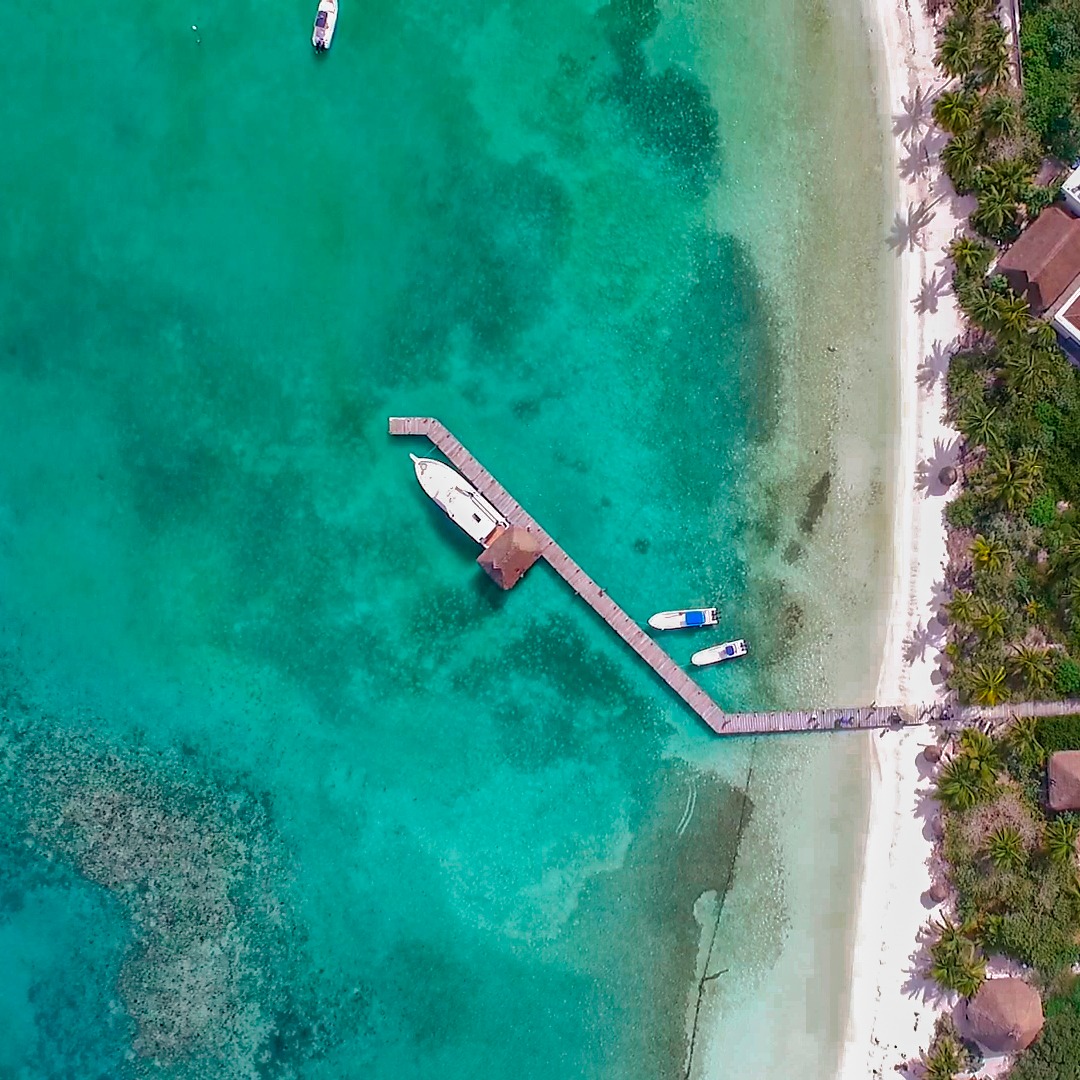 El Mejor Tour a Isla Contoy y Tour de Nado con Tiburón Ballena 🌴