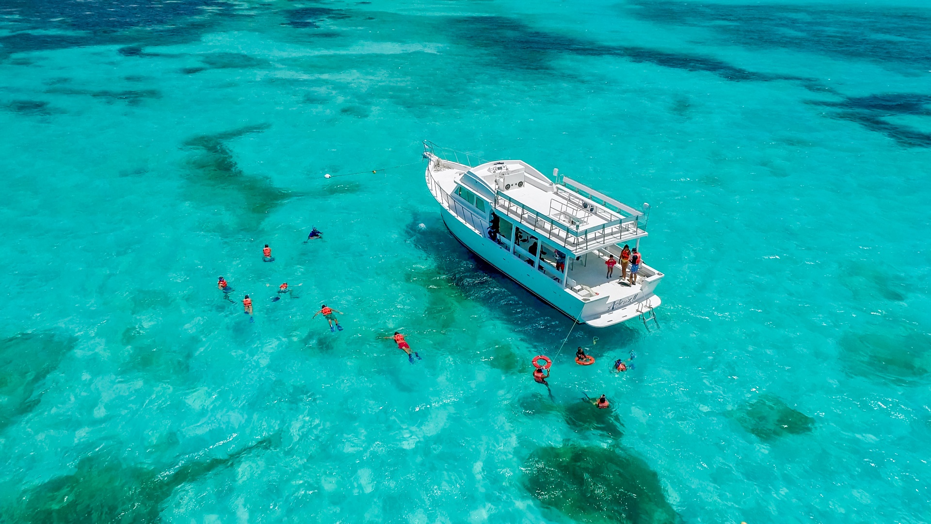 El Mejor Tour a Isla Contoy y Tour de Nado con Tiburón Ballena 🌴