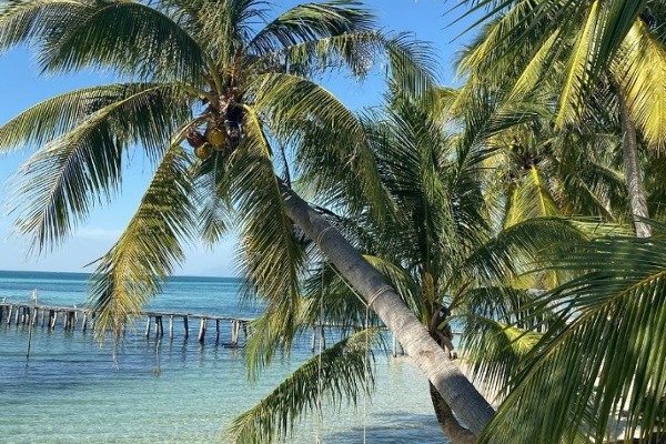 Isla Contoy National Park Conservancy Program