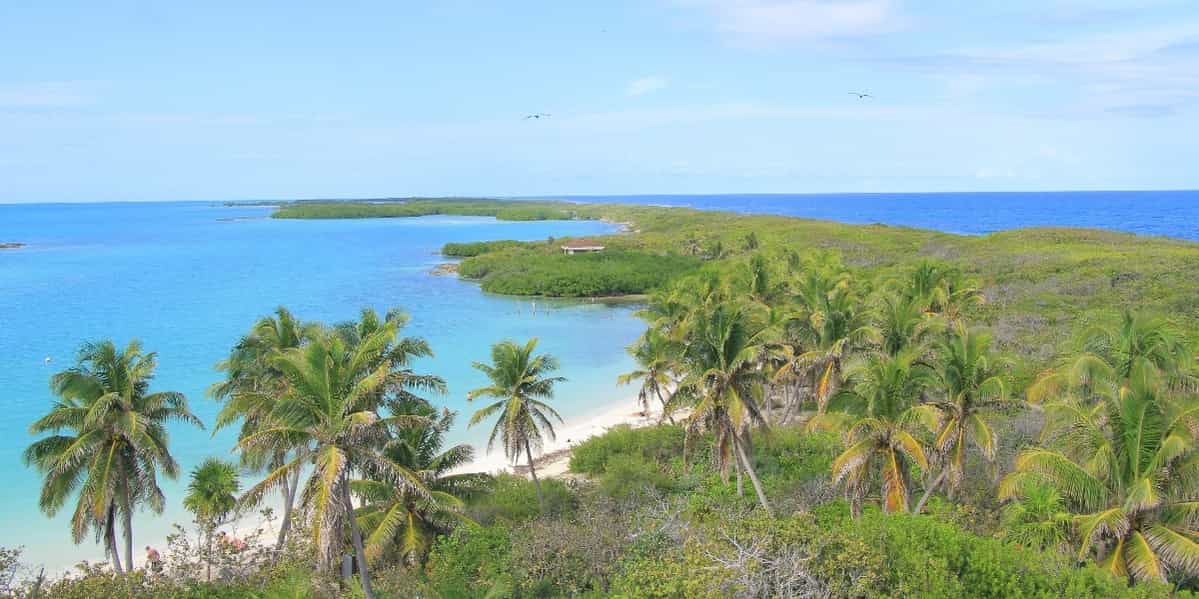 Descuento para Mexicanos para Isla Contoy o Tour con Tiburón Ballena